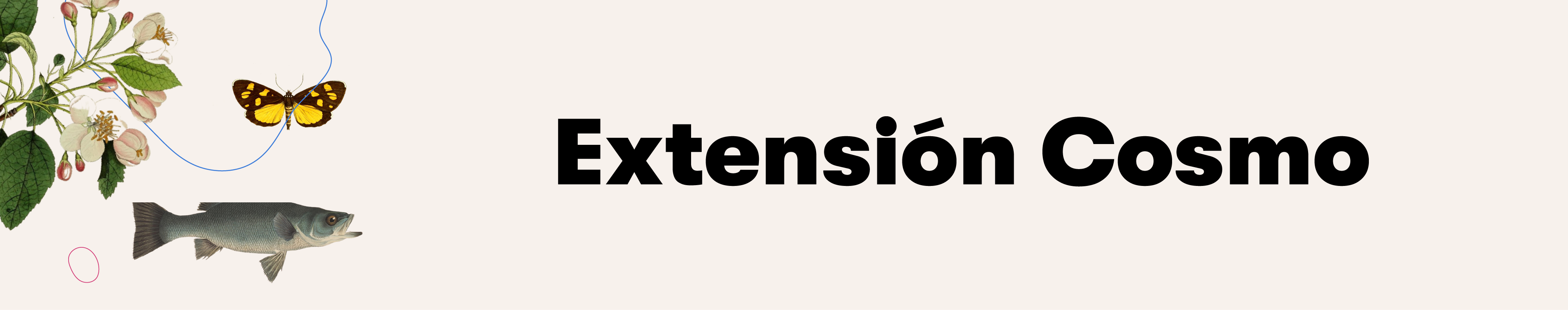 Matriculas 2024 - Extensión Cosmo